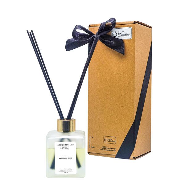 Evergreen Shrub LUMI Reed Diffuser – Lumi Candles PH