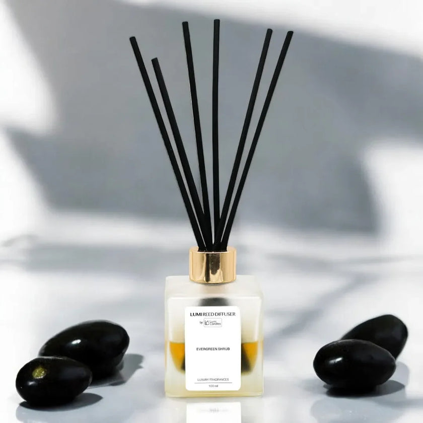 Evergreen Shrub LUMI Reed Diffuser – Lumi Candles PH